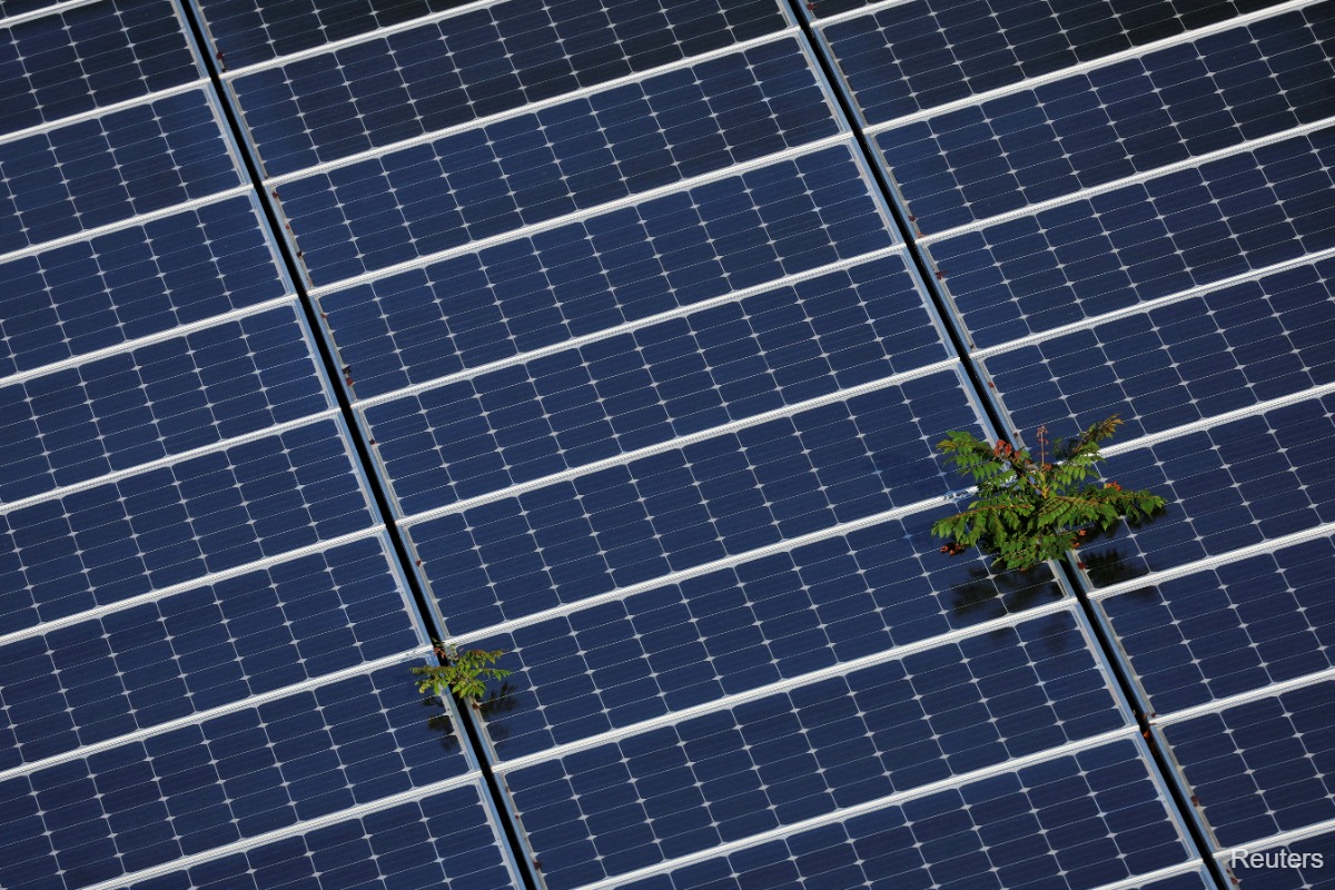 A total of 13 developers won LSS5+ solar bids, says Energy Ministry ...