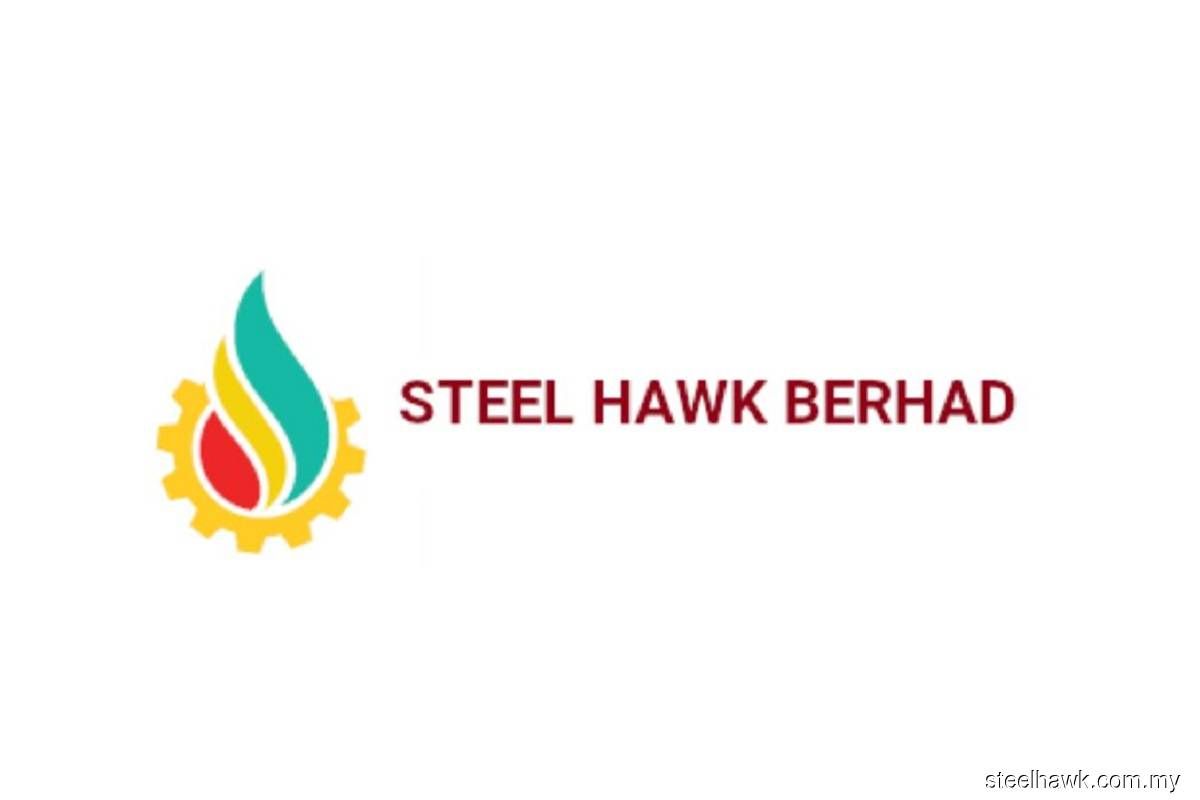 Steel Hawk's move into utilities offers visibility amid cloudy oil and ...