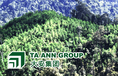 Ta Ann’s log production declines