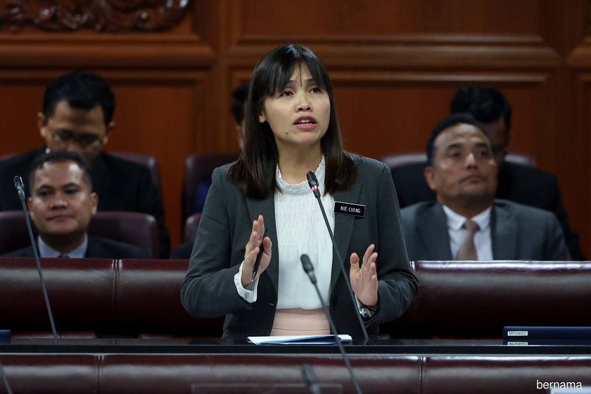 Construction of undersea cables mostly privately funded, Dewan Negara ...