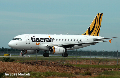 Australia's Tigerair expects to resume Bali flights on Feb 3