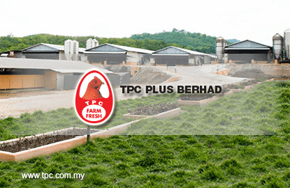 TPC taking a pause, says AllianceDBS Research